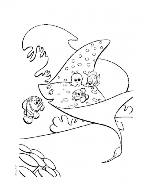 Skate fish coloring page - ColouringPages