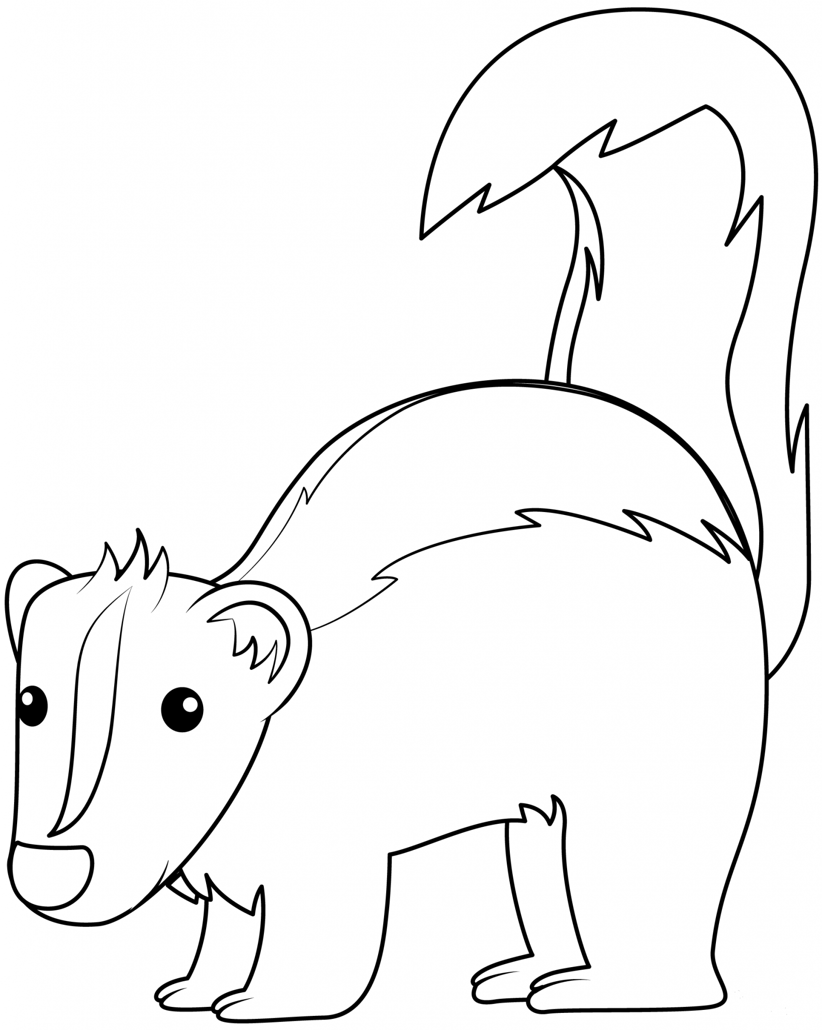 Skunk coloring page - ColouringPages