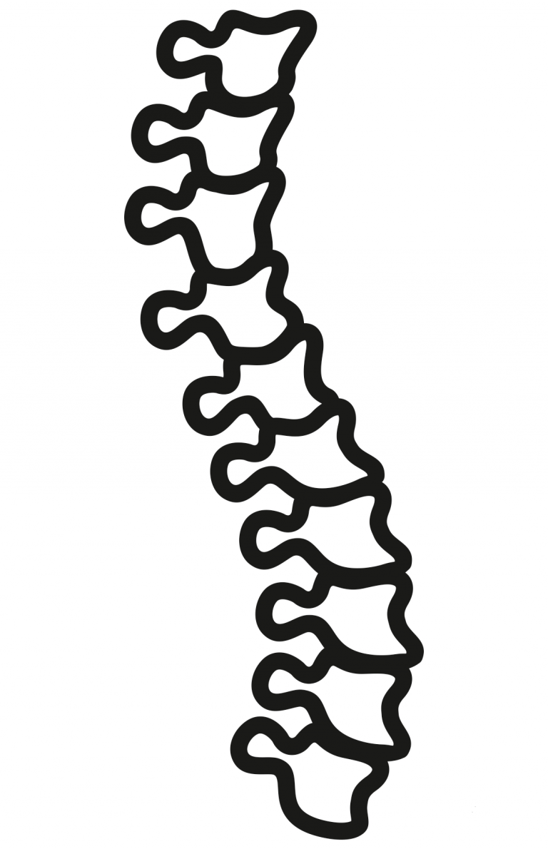 Spine coloring page - ColouringPages
