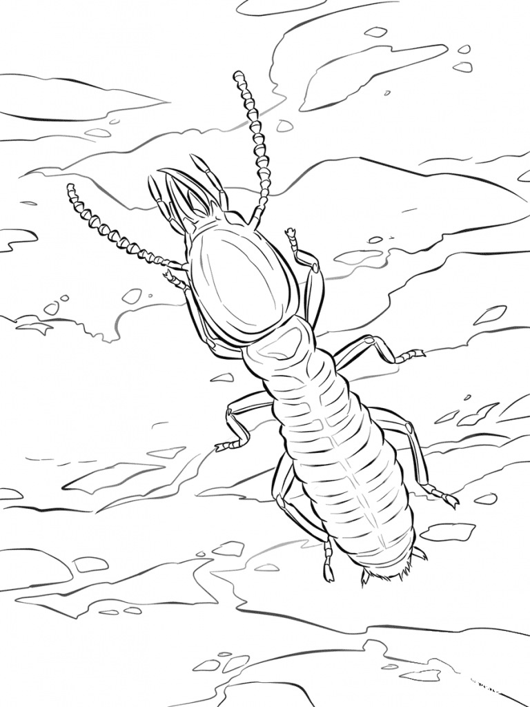 Super Termite coloring page - ColouringPages