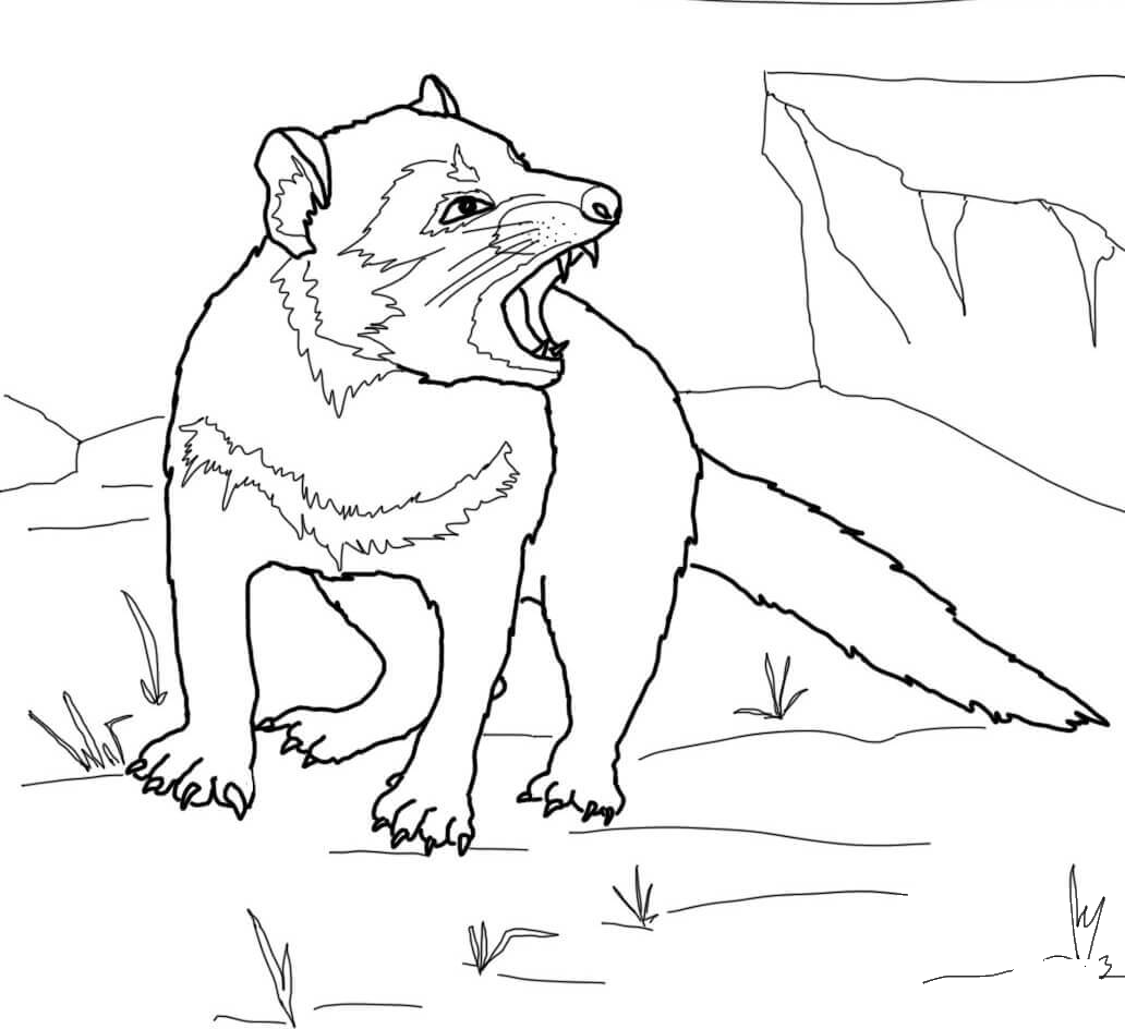 Tasmanian Devil Growling coloring page - ColouringPages