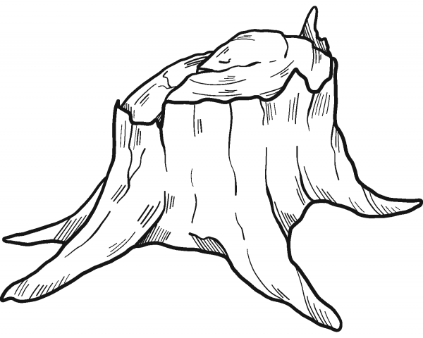 Tree Stump coloring page - ColouringPages