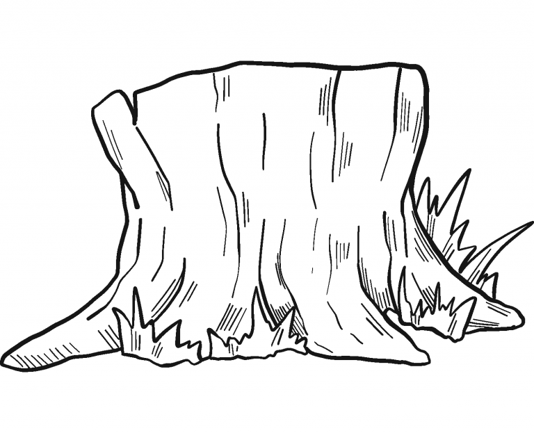Tree Stump coloring page - ColouringPages