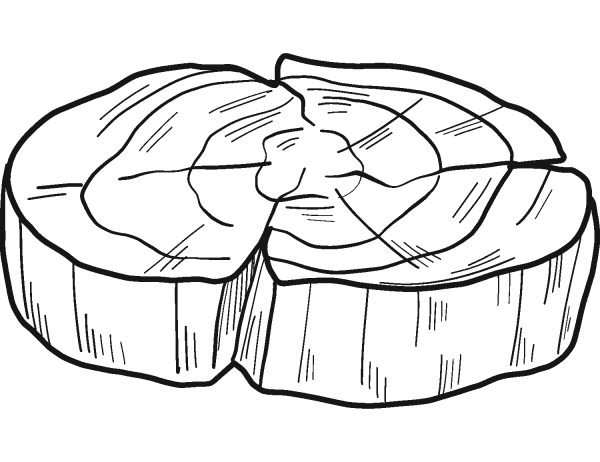 Tree Trunk coloring page - ColouringPages