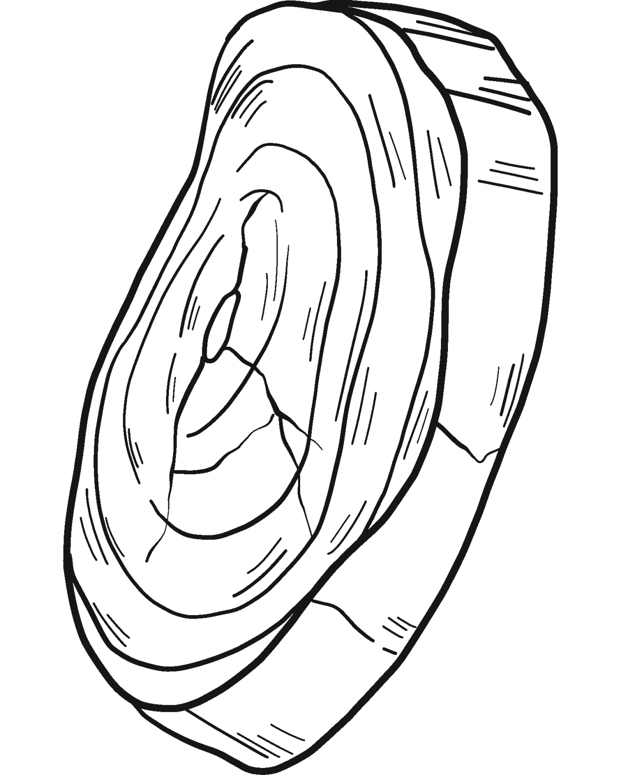 Tree Trunk coloring page - ColouringPages