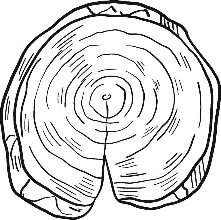 Tree Trunk coloring page - ColouringPages