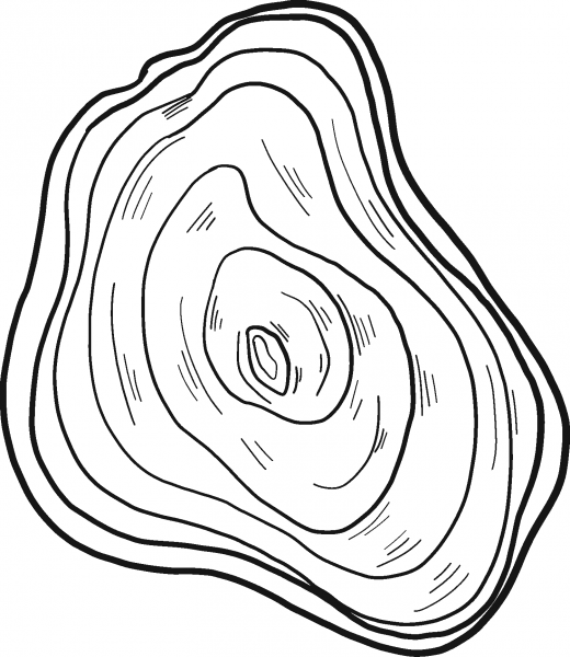 Tree Trunk coloring page - ColouringPages