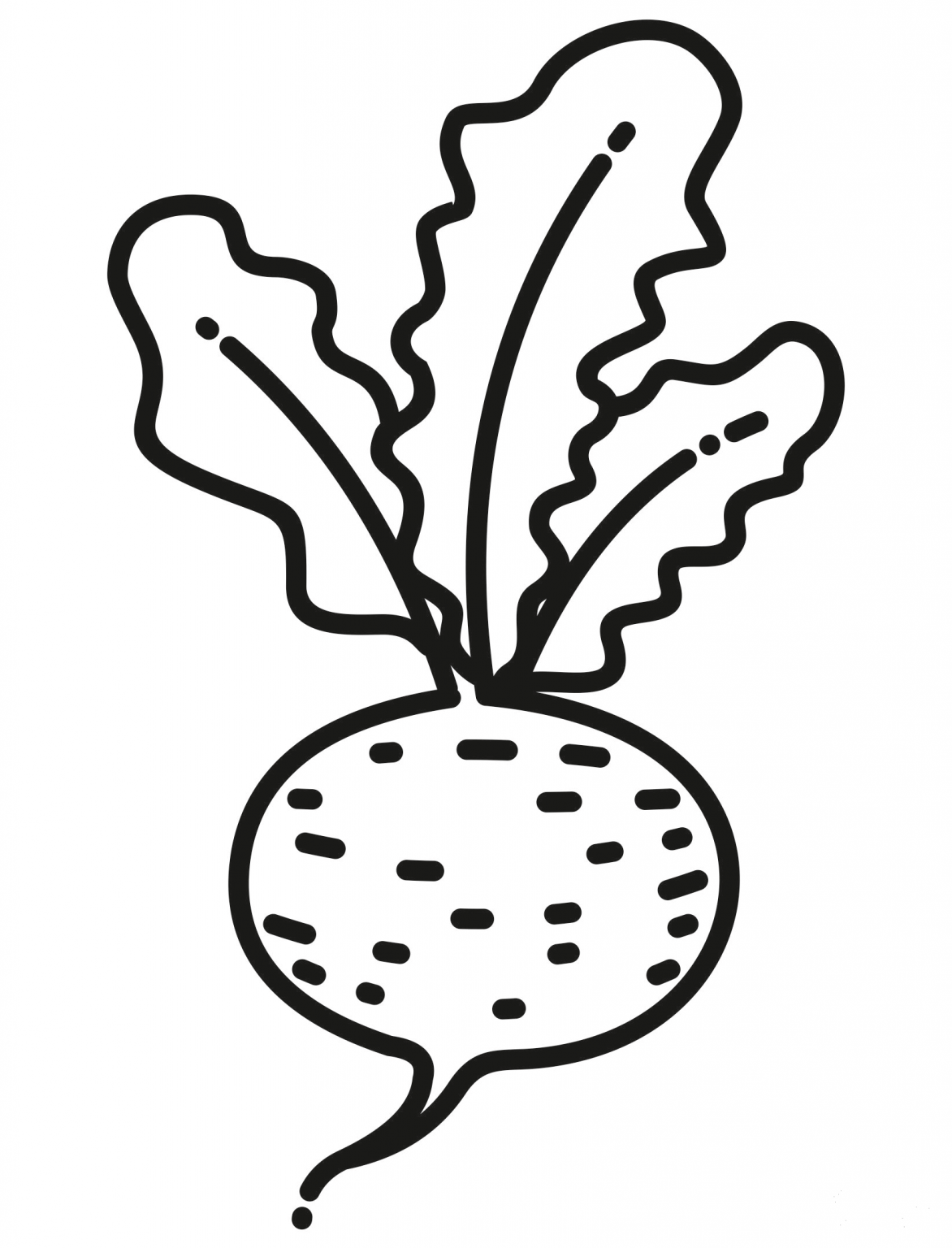 Turnip coloring page - ColouringPages