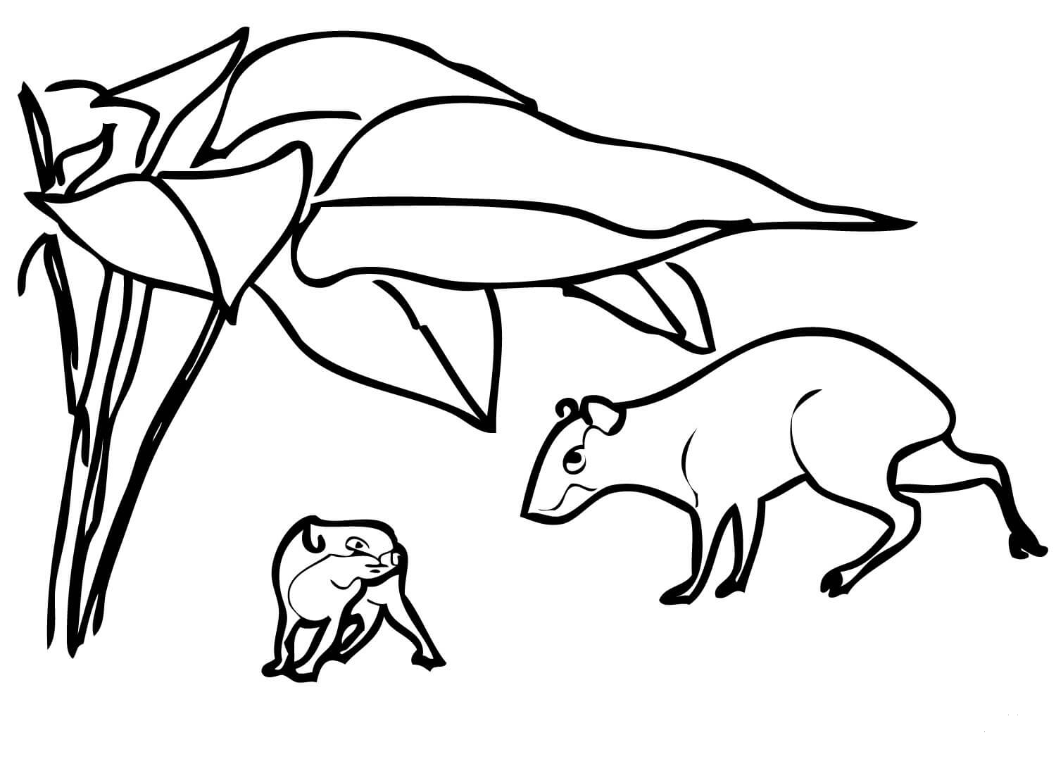 Two Agoutis coloring page - ColouringPages