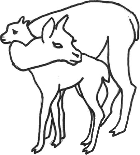 Two Alpacas Are Huging coloring page - ColouringPages