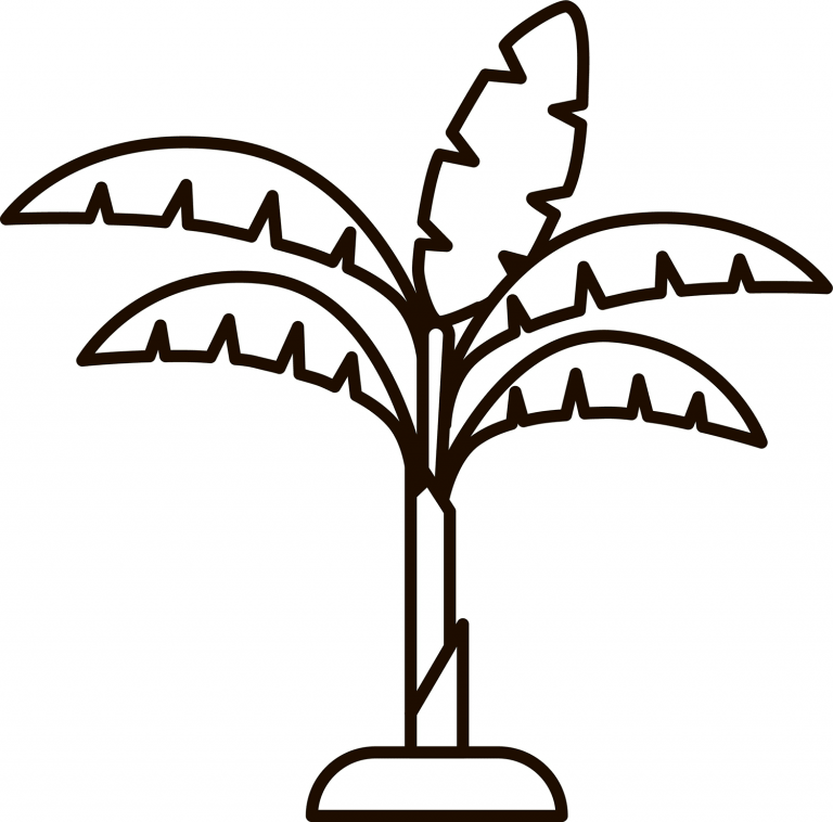 Banana Tree coloring page - ColouringPages