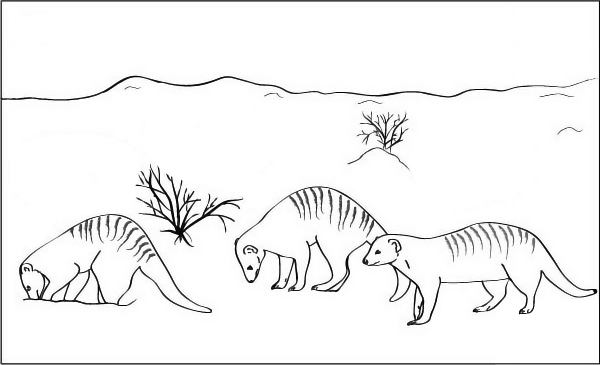 Banded Mongoose coloring page - ColouringPages