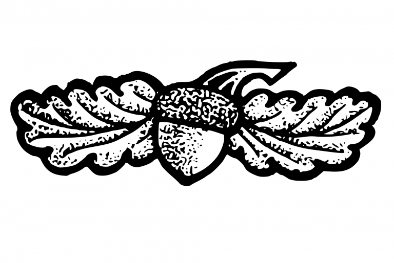 Vintage Acorn Divider coloring page - ColouringPages