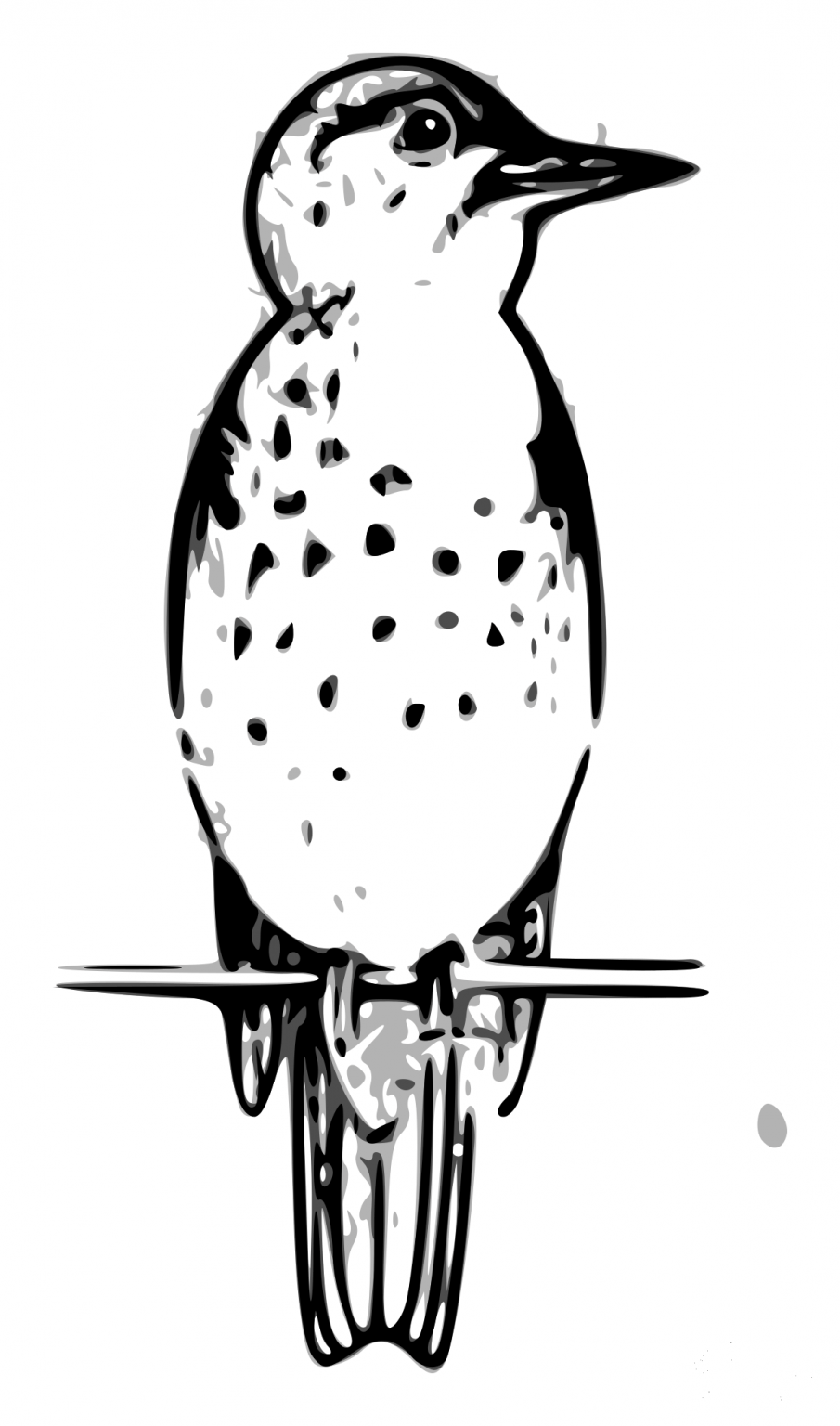 Vintage Lutz Thrush Outline coloring page - ColouringPages