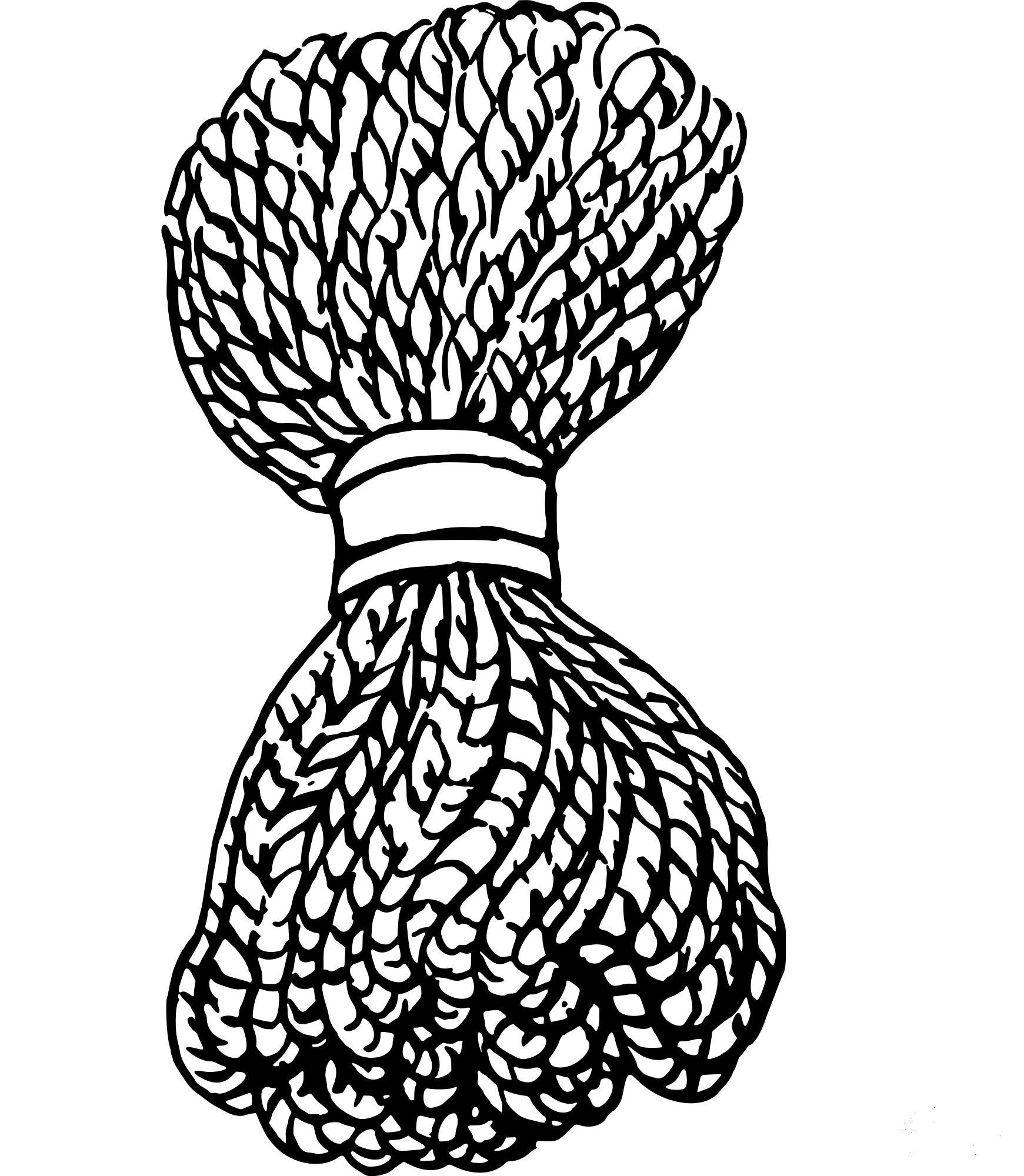 Vintage Rope coloring page - ColouringPages