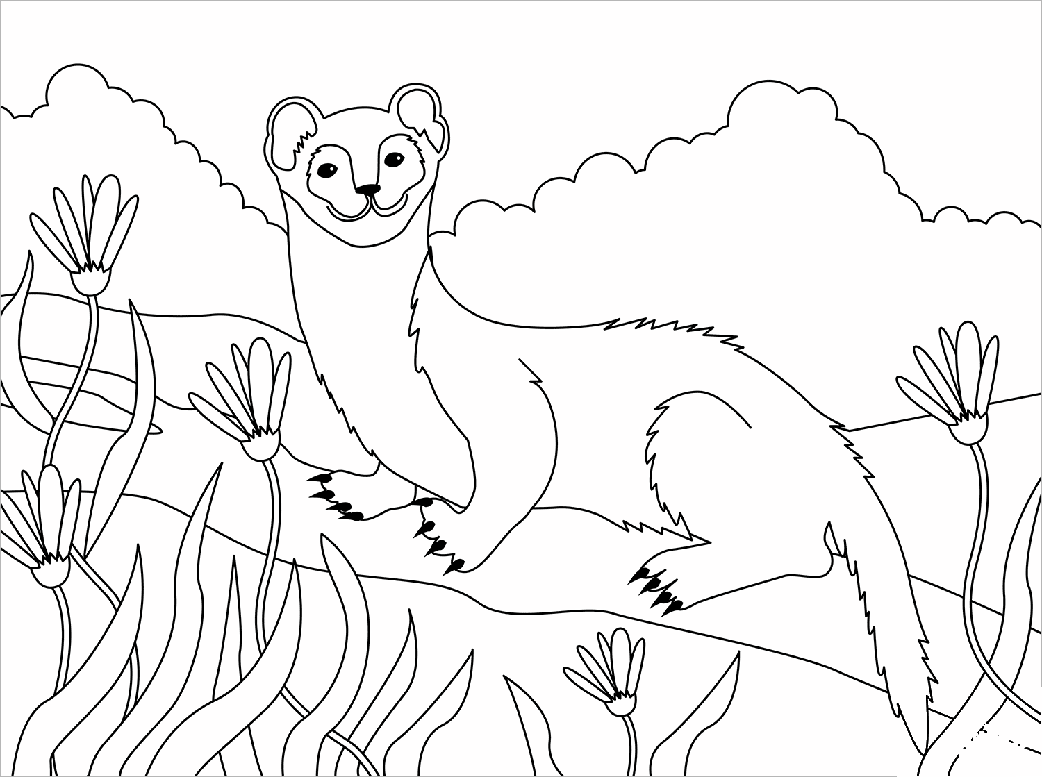 Weasel coloring page - ColouringPages