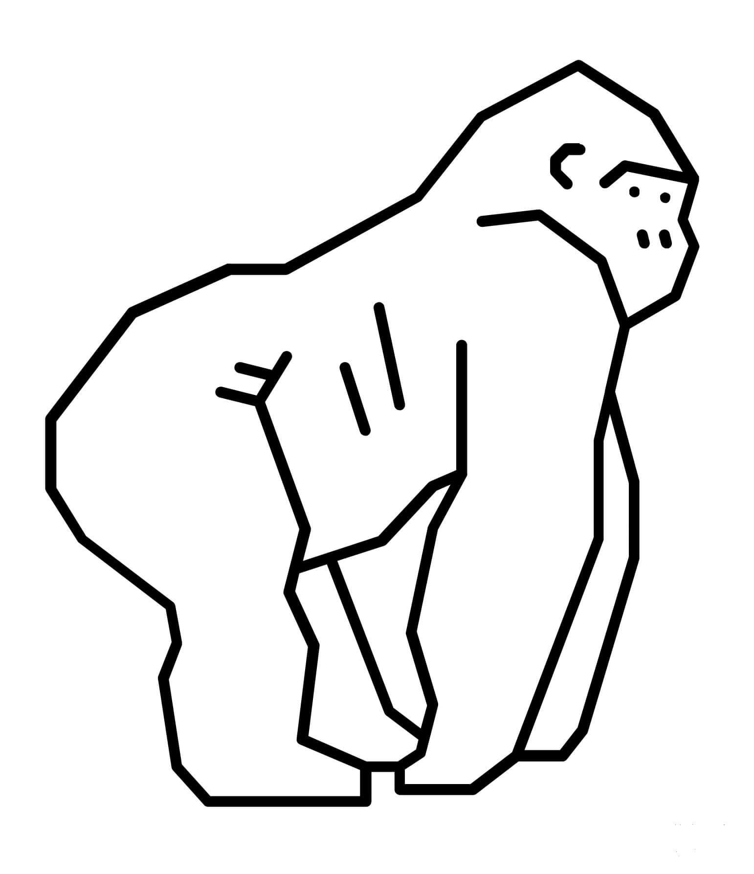 Western Lowland Gorilla coloring page - ColouringPages