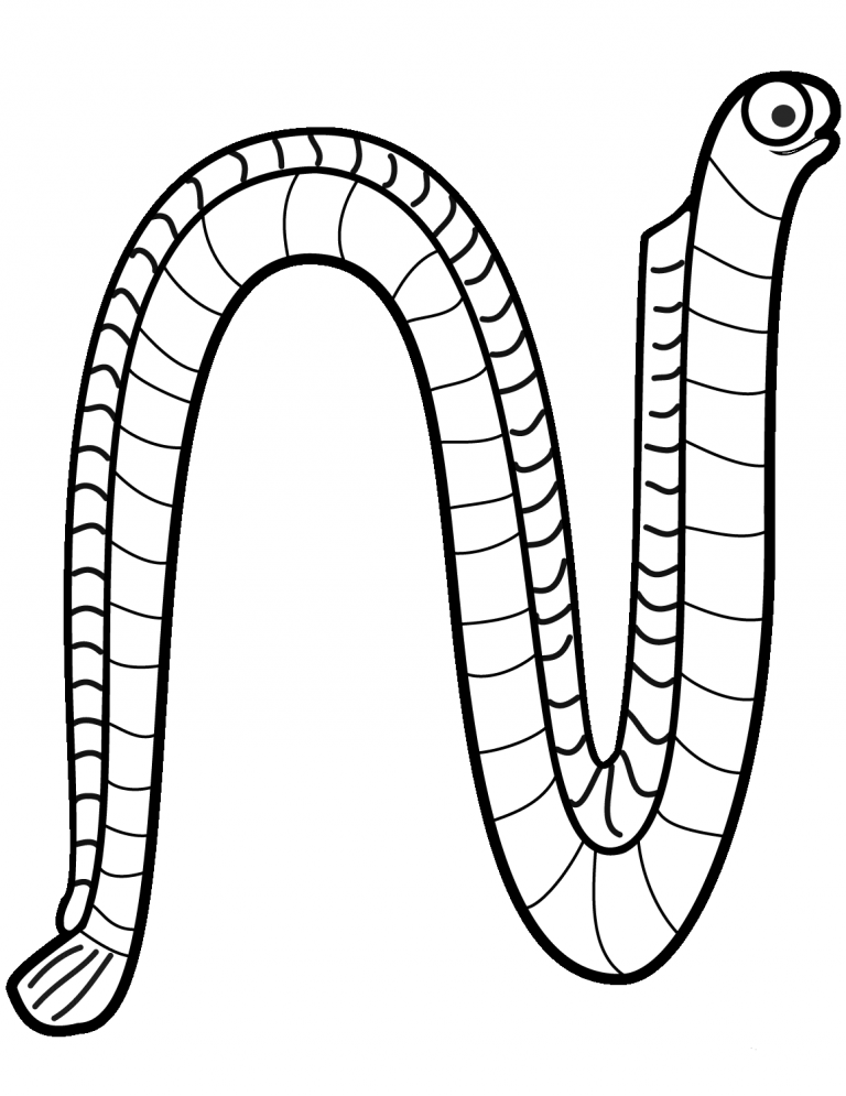 Worm coloring page - ColouringPages