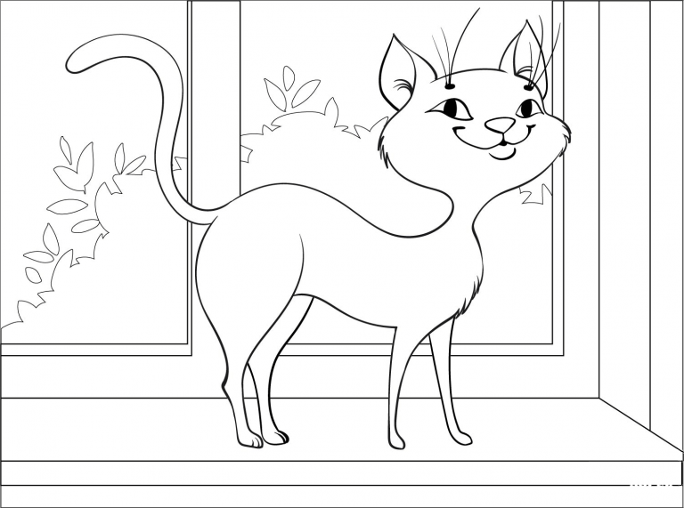 Black Cat coloring page - ColouringPages