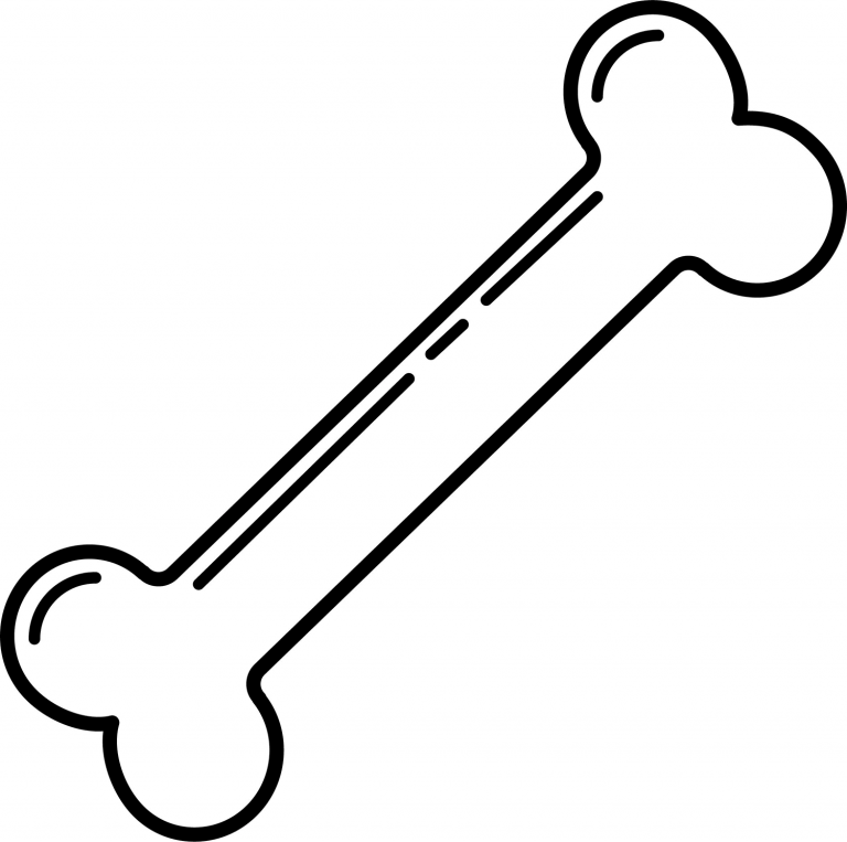 Bone coloring page - ColouringPages