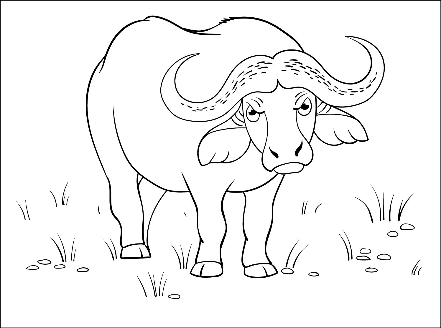 Buffalo coloring page - ColouringPages