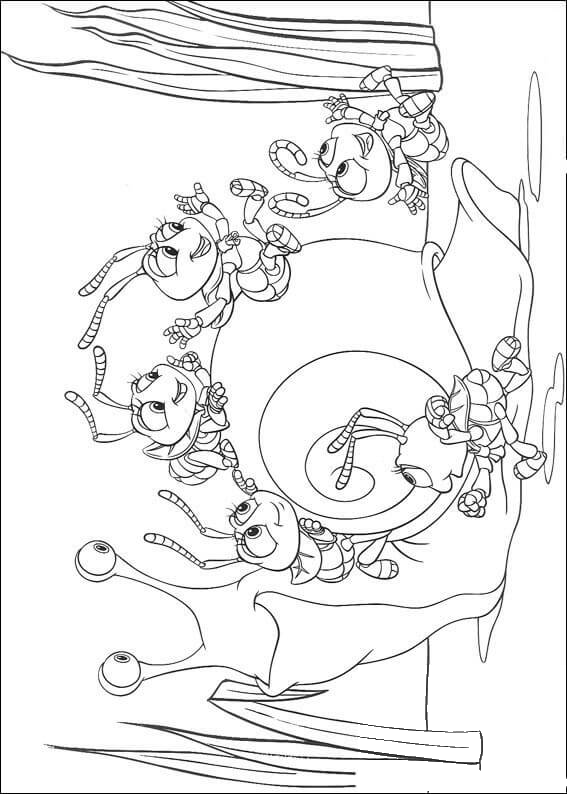 Bugs on a snail coloring page - ColouringPages