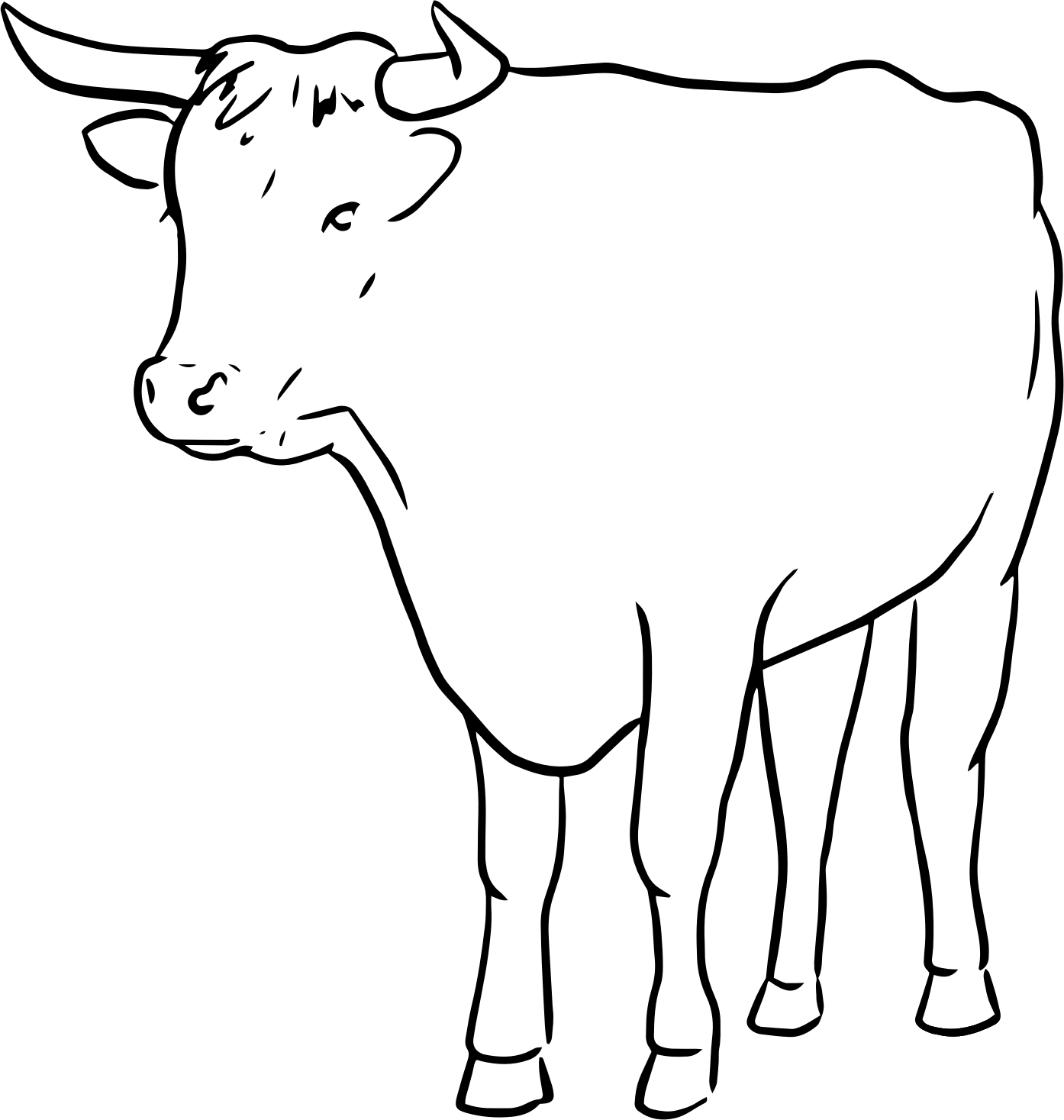 Bull Line Drawing coloring page - ColouringPages
