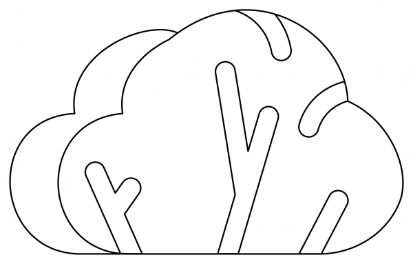 Bush coloring page - ColouringPages