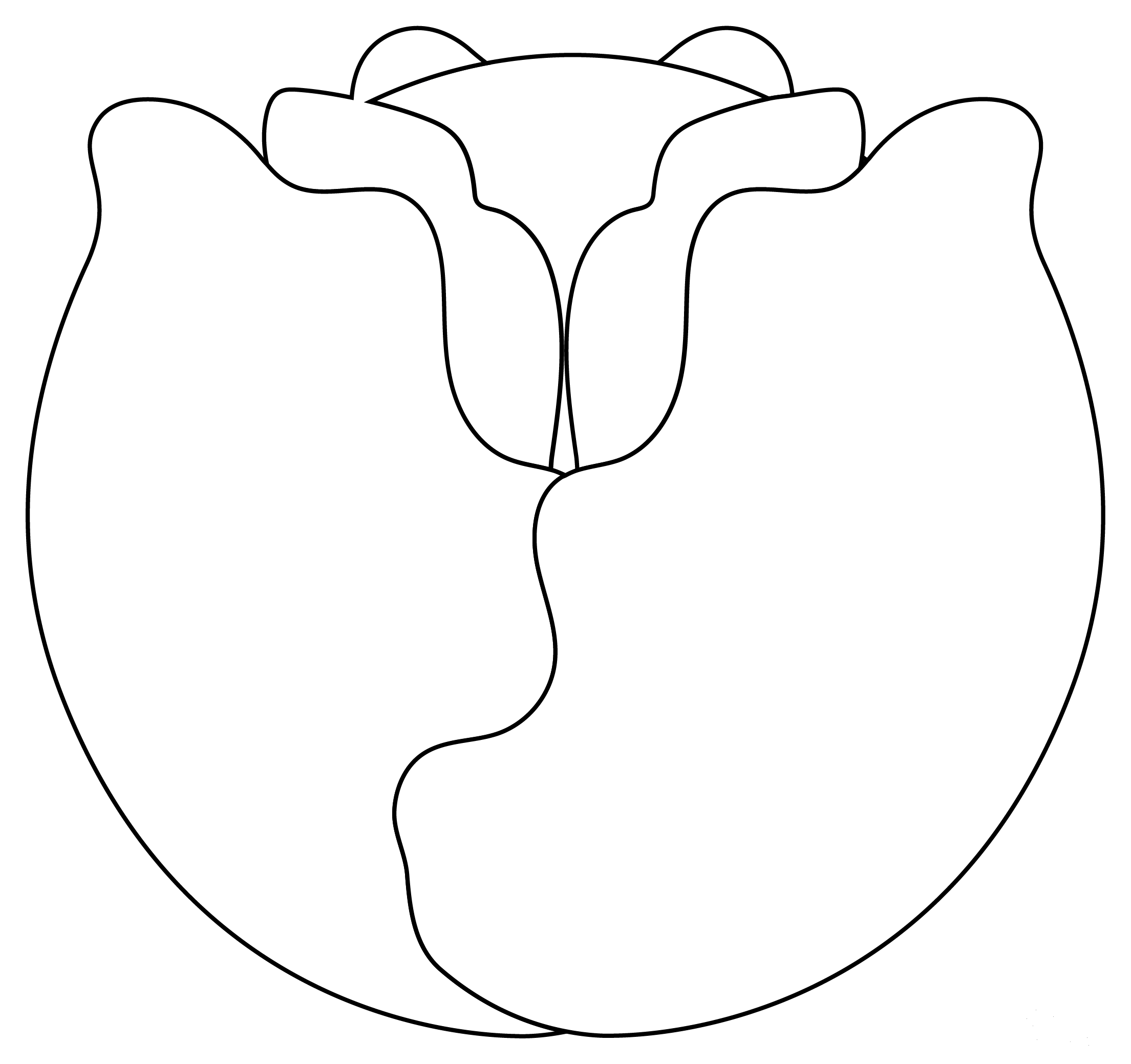 Cabbage coloring page - ColouringPages