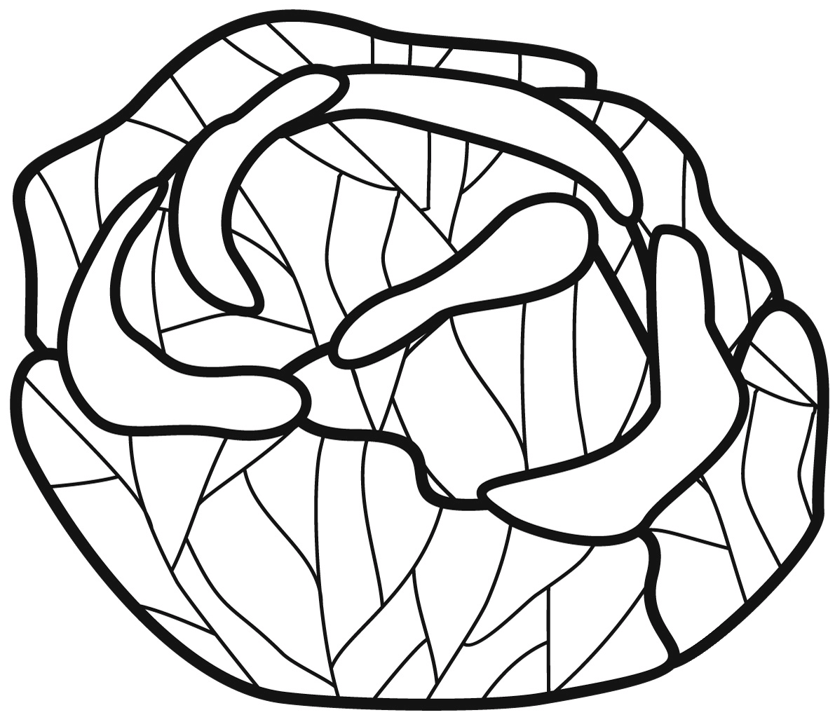 Cabbage coloring page - ColouringPages