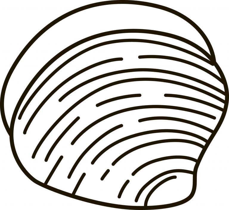 Clam coloring page - ColouringPages